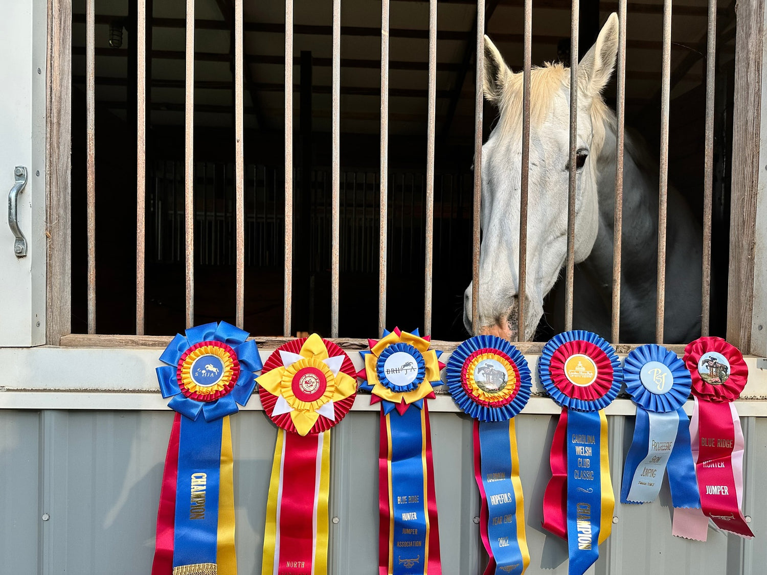10 Creative Horse Show Ribbon Display Ideas – Farm House Tack