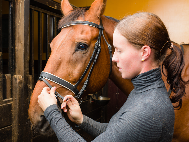How To: Put Together An English Bridle – Farm House Tack