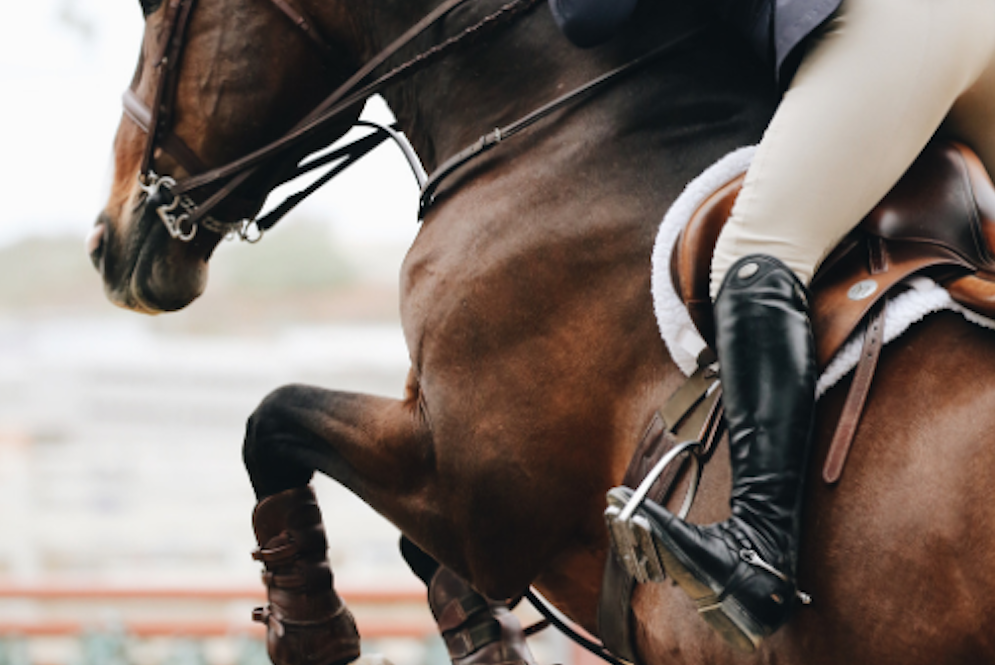 English Horse Riding Boots