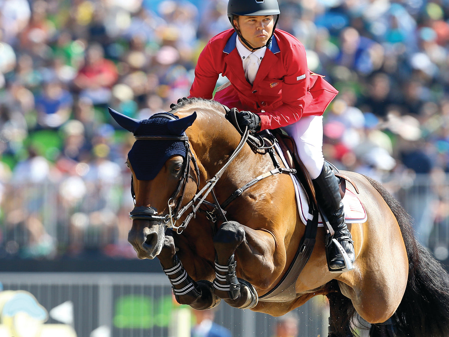 What Is Show Jumping? The Ultimate Guide for Beginner Equestrians ...