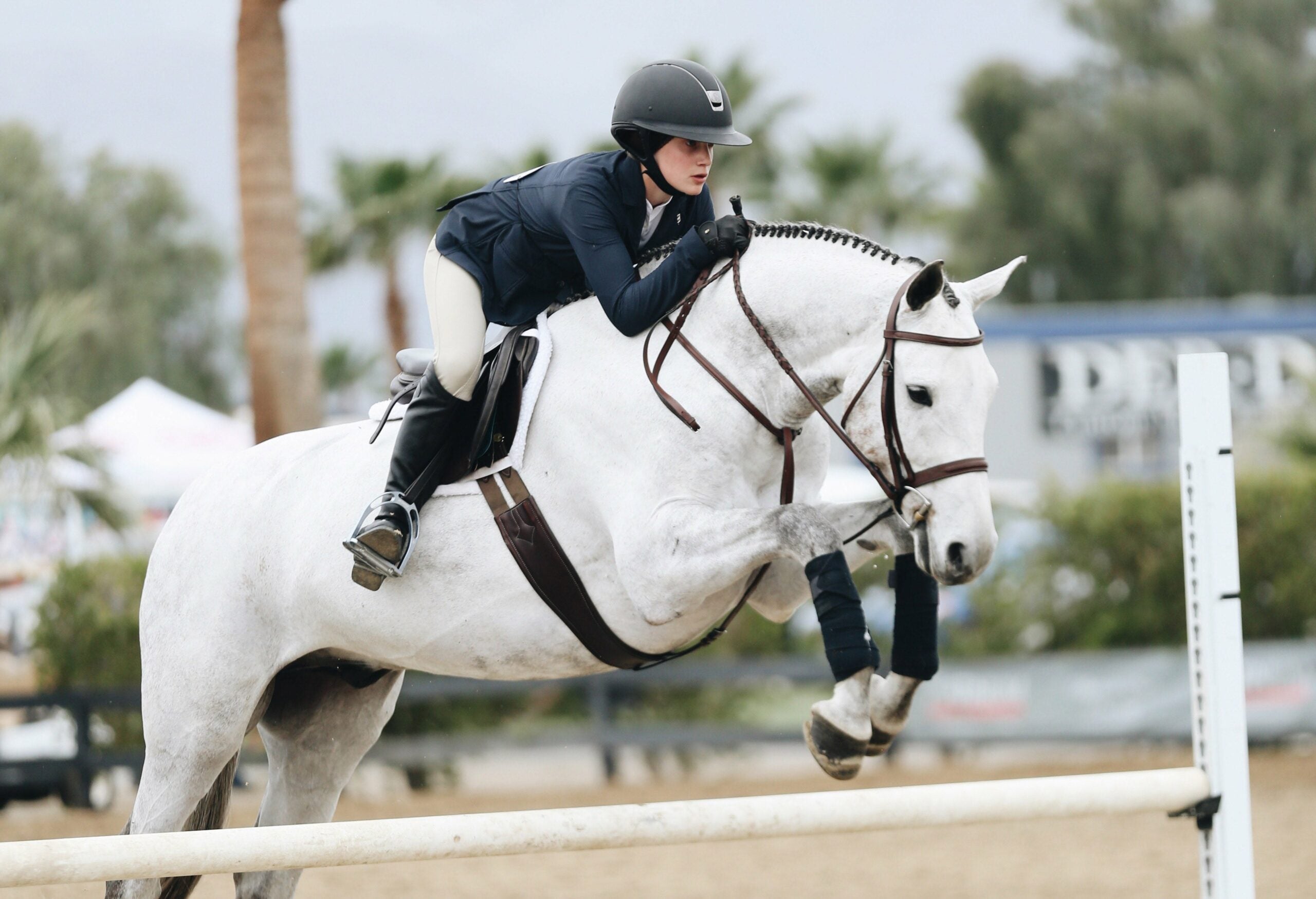 National Horse Show Amends ASPCA Maclay Medal Regionals & Finals ...
