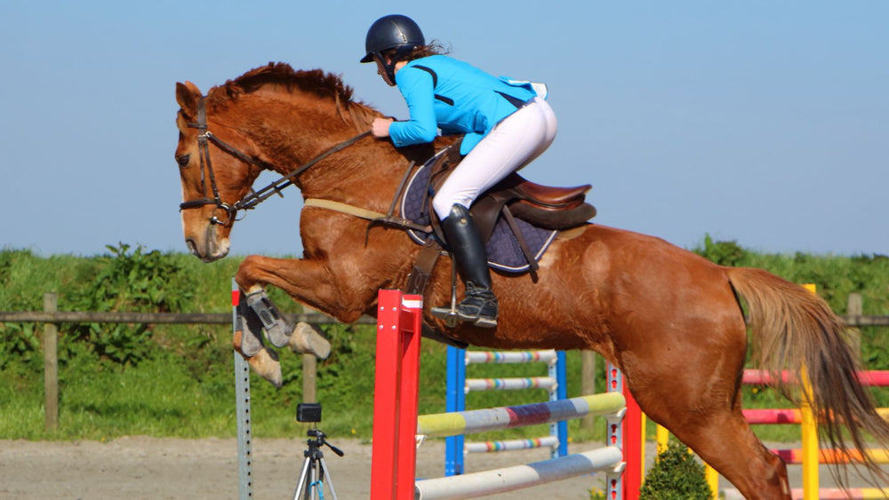 5 Tips To Choosing The Right Colors For Your Horse | Farm House Tack