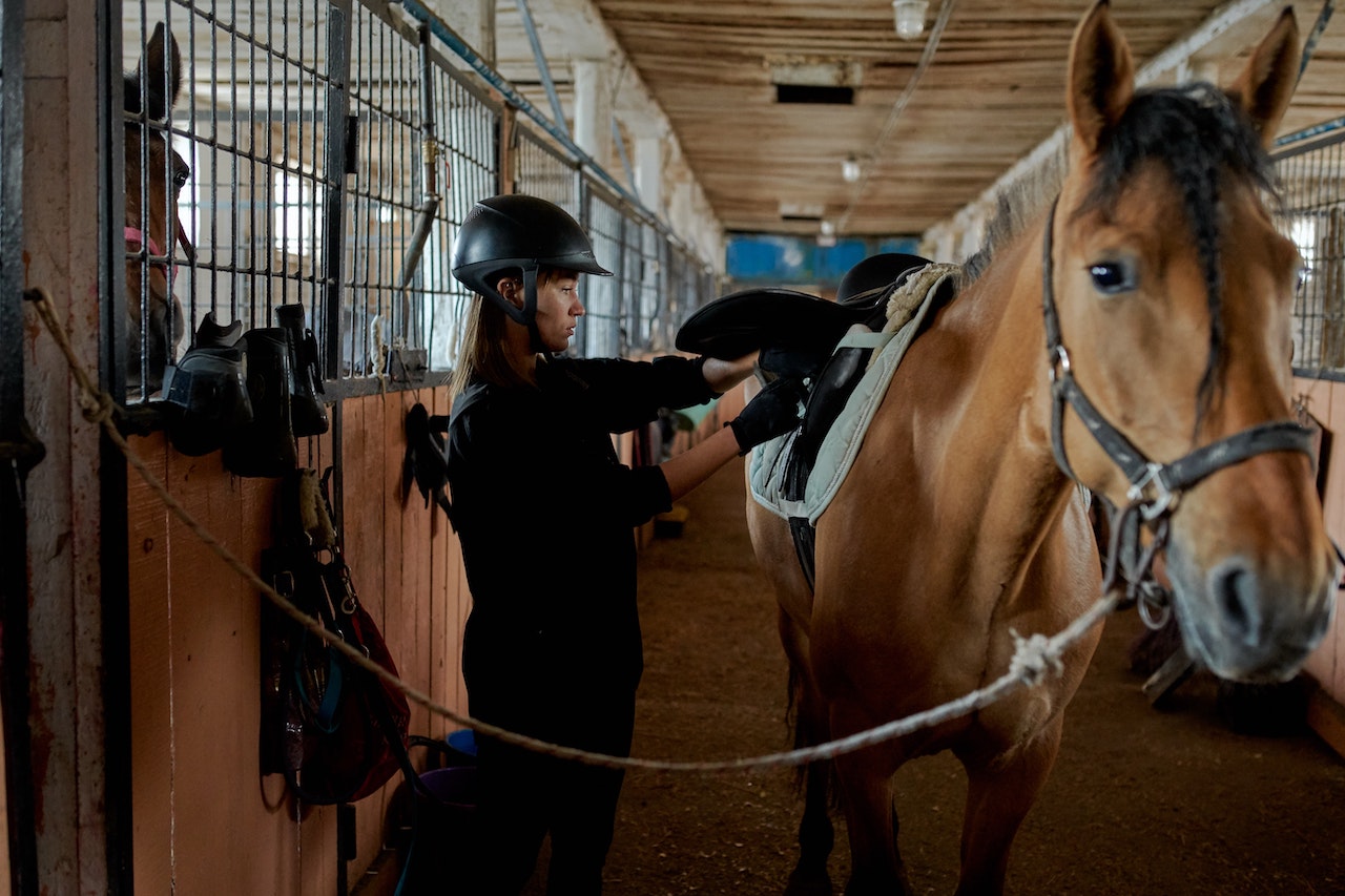How To Correctly Saddle a Horse | Farm House Tack
