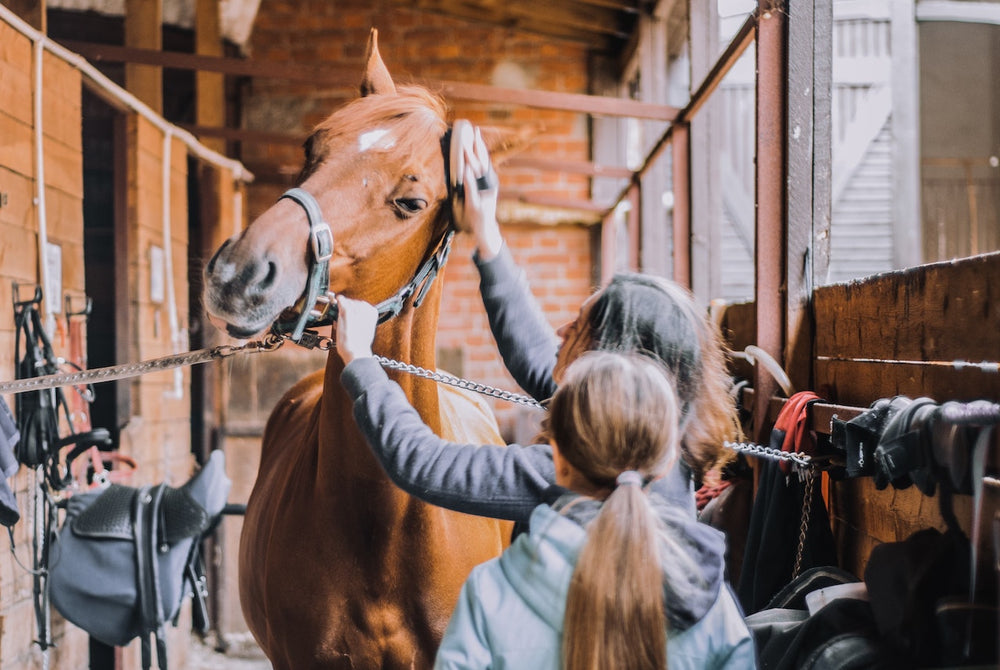 How to Tack Up Your Horse (A Guide for English Riders) | Farm House Tack