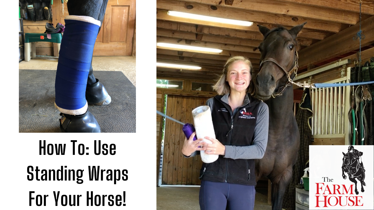 How To: Use Standing Wraps For Your Horse | Farm House Tack