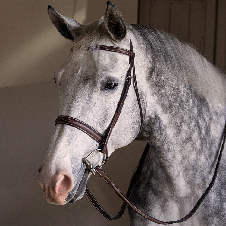 English Horse Tack | The Farm House – Farm House Tack
