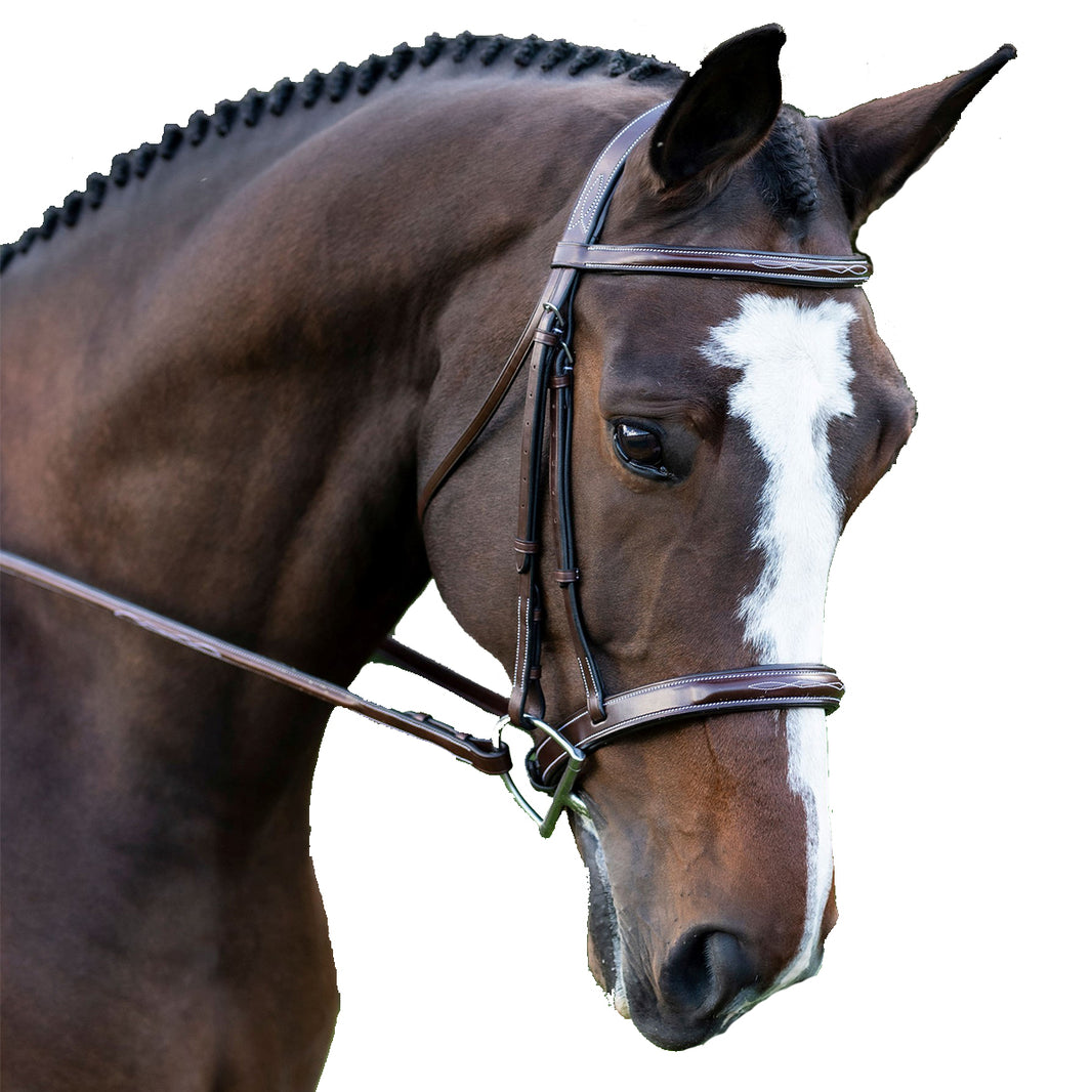 Hunter Bridles | The Farm House – Farm House Tack
