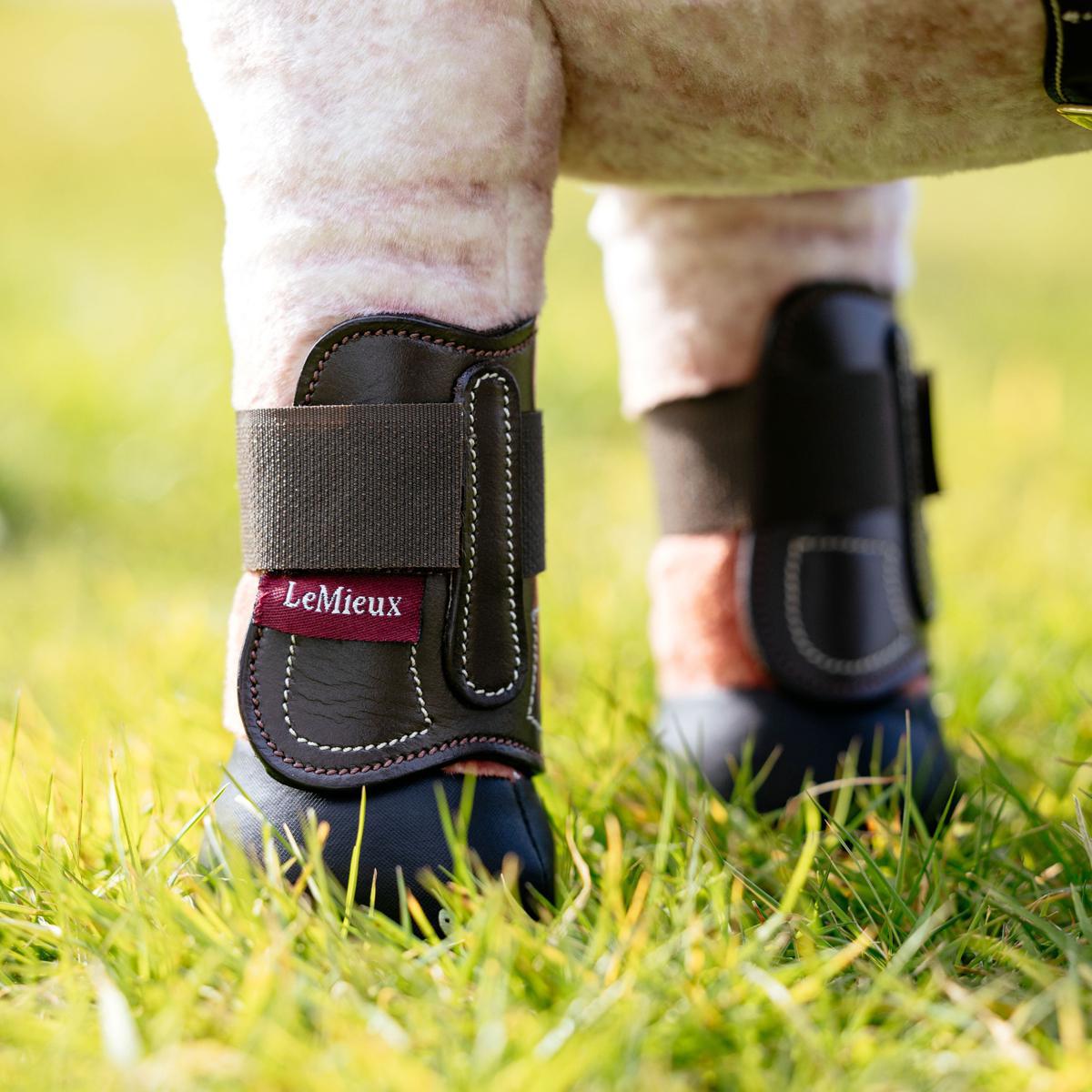 LeMieux Toy Pony Capella Boots | Farm House Tack