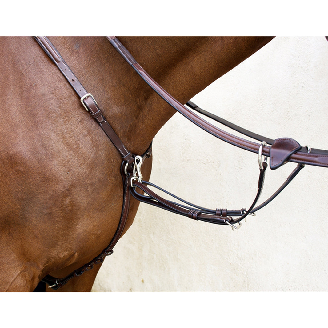 Martingale Attachments | Breastplate Attachments | The Farm House ...