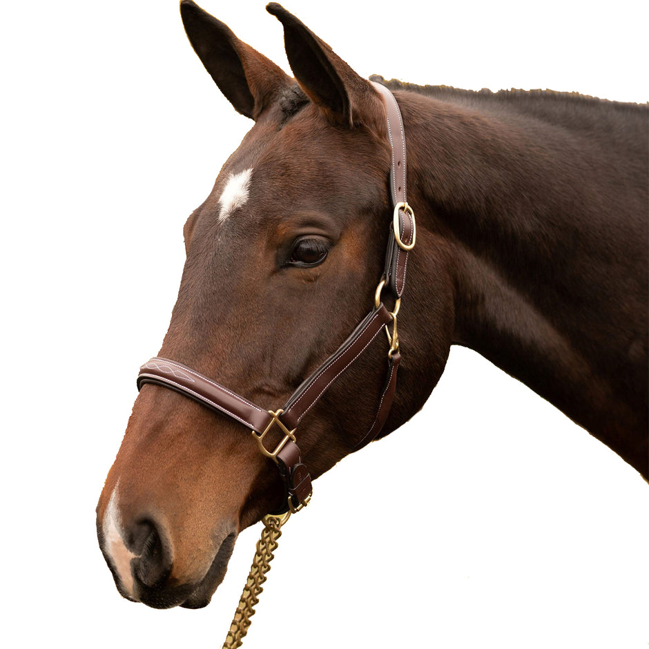 Horse Halters - Nylon, Leather, Padded | Farm House Tack