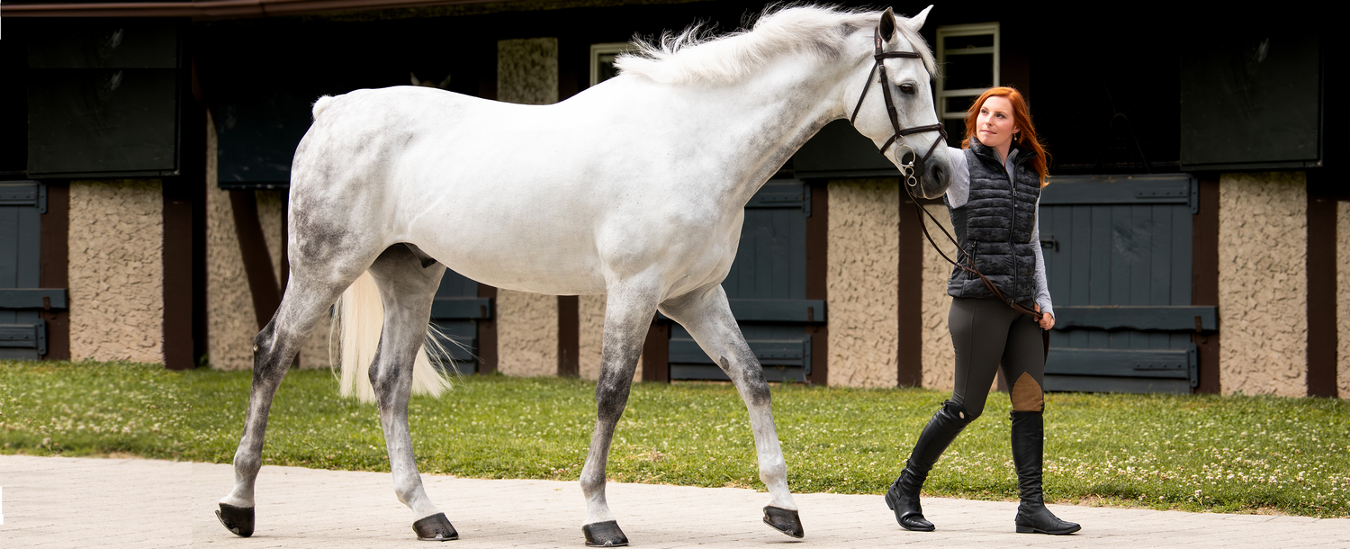 Horse Tack & Supplies | Equestrian Shop - The Farm House – Farm House Tack