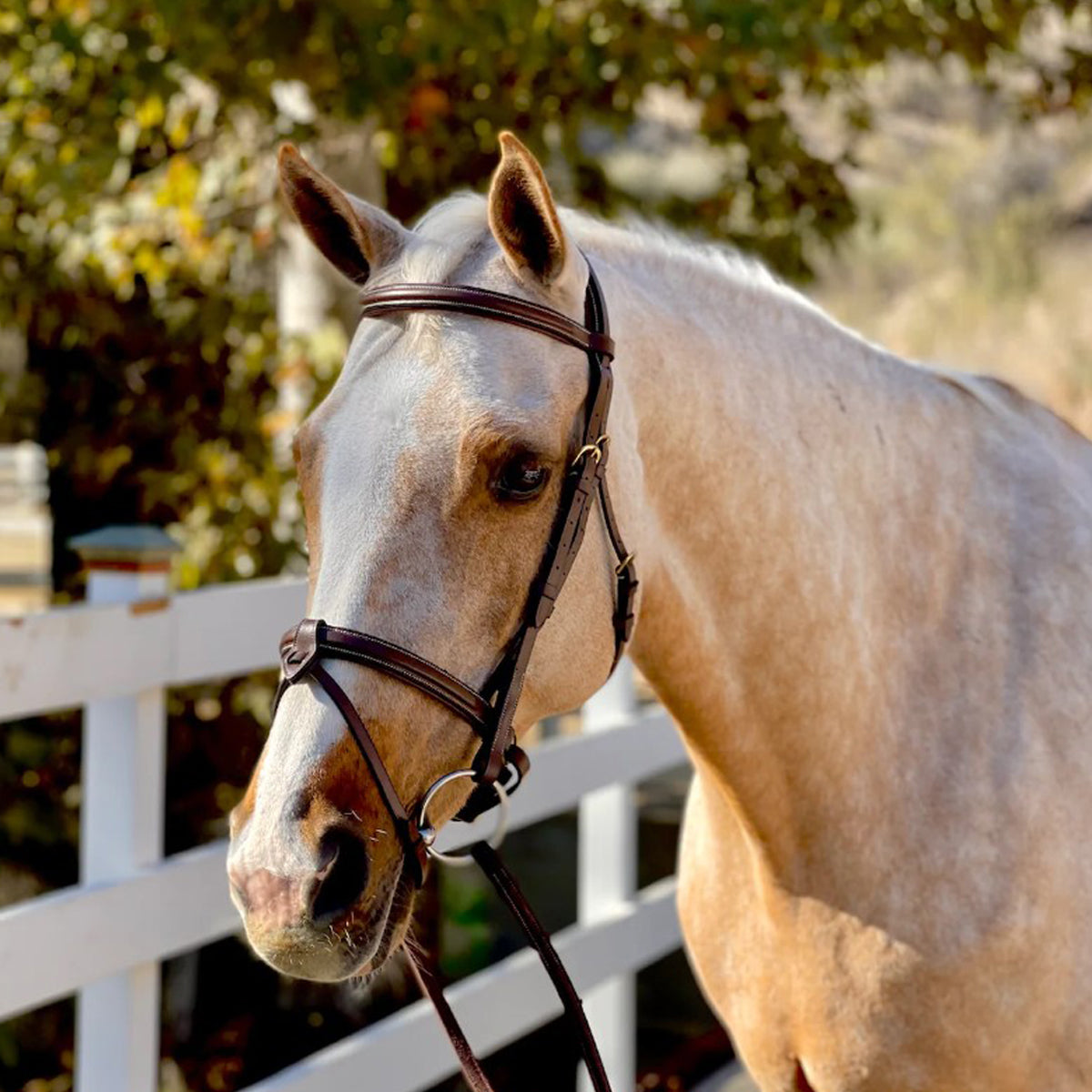 Hunter Bridles | The Farm House – Page 3 – Farm House Tack