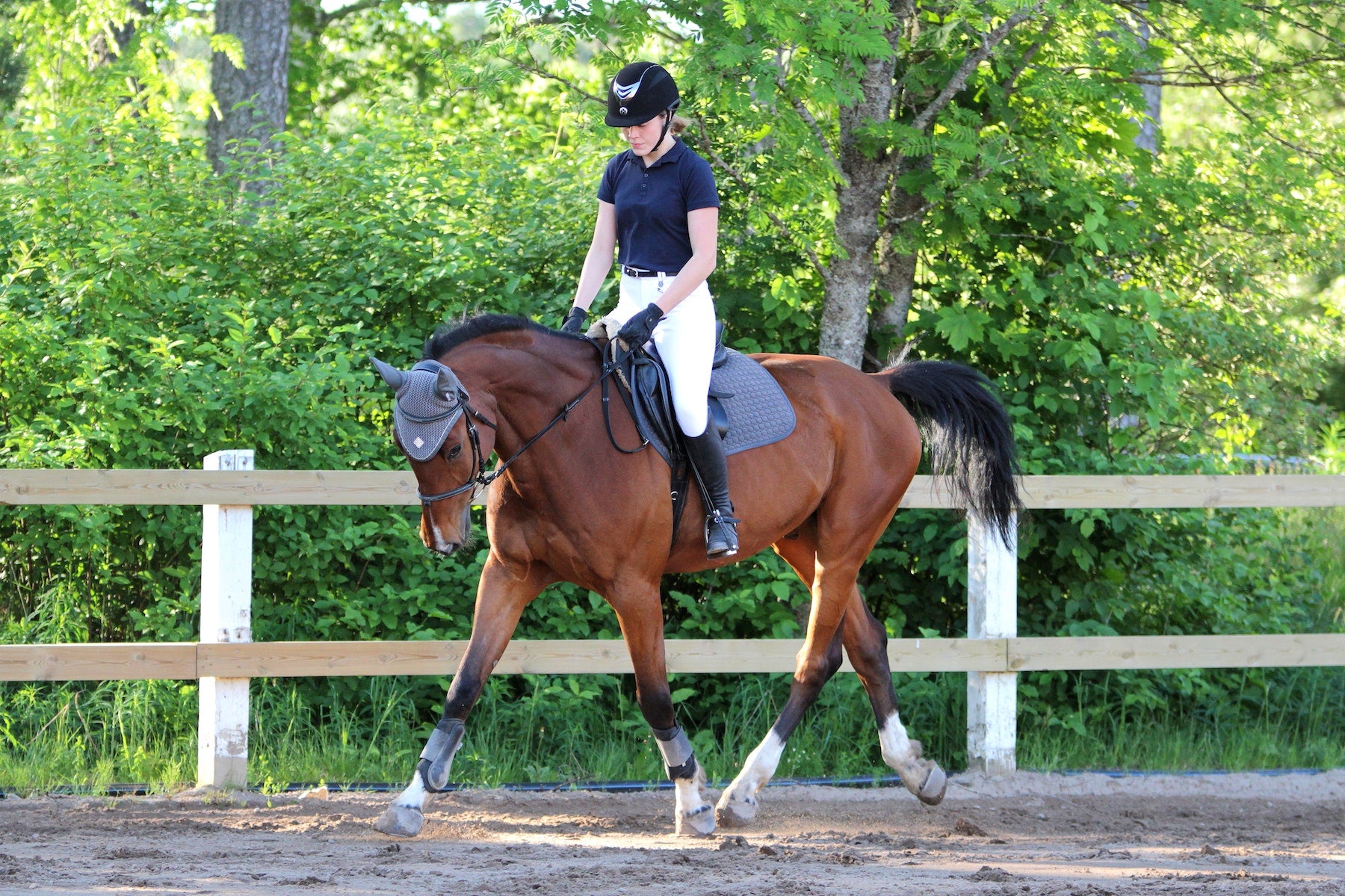 Eventing Tack & Apparel – Farm House Tack