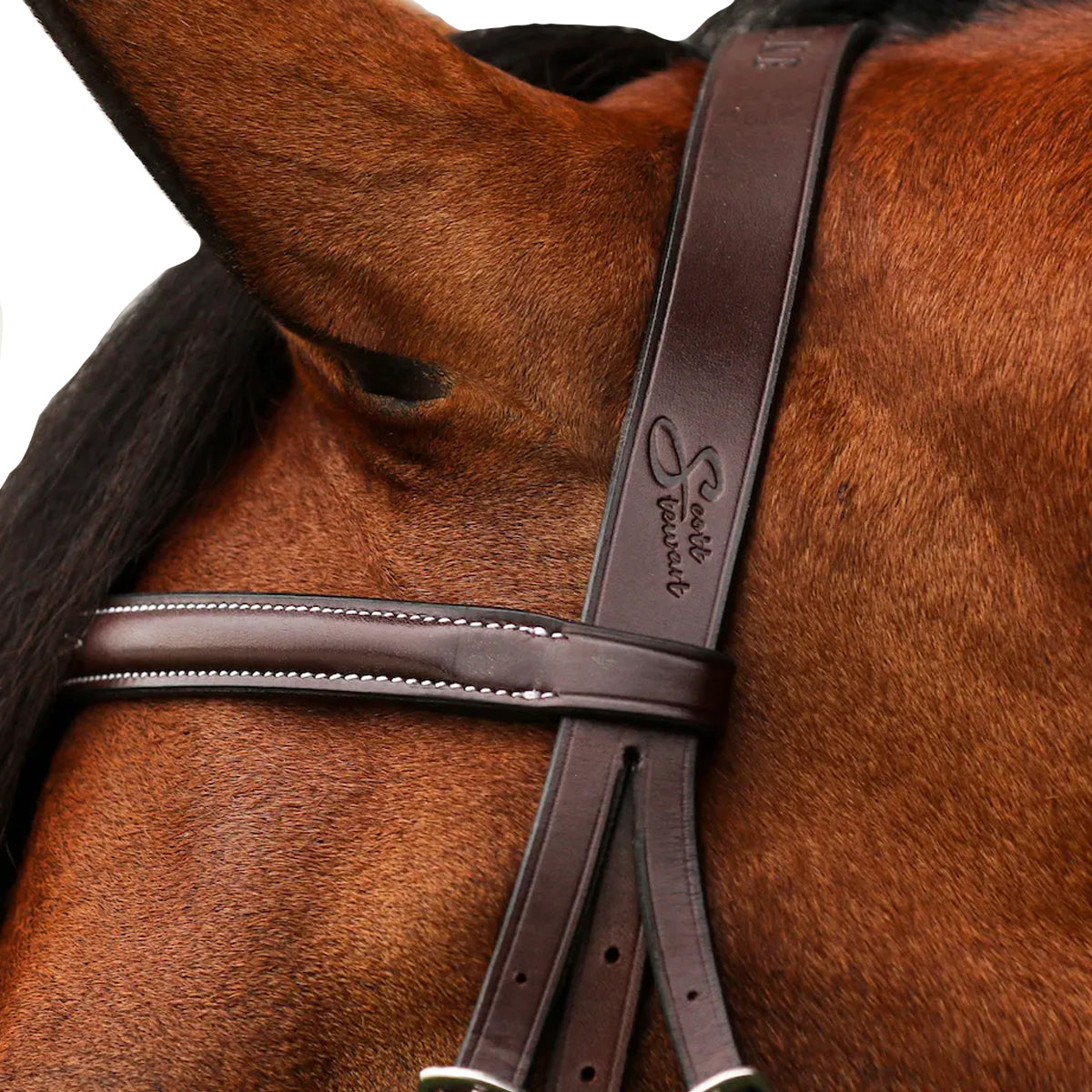 Equiline Scott Stewart Hunter Bridle | Farm House Tack