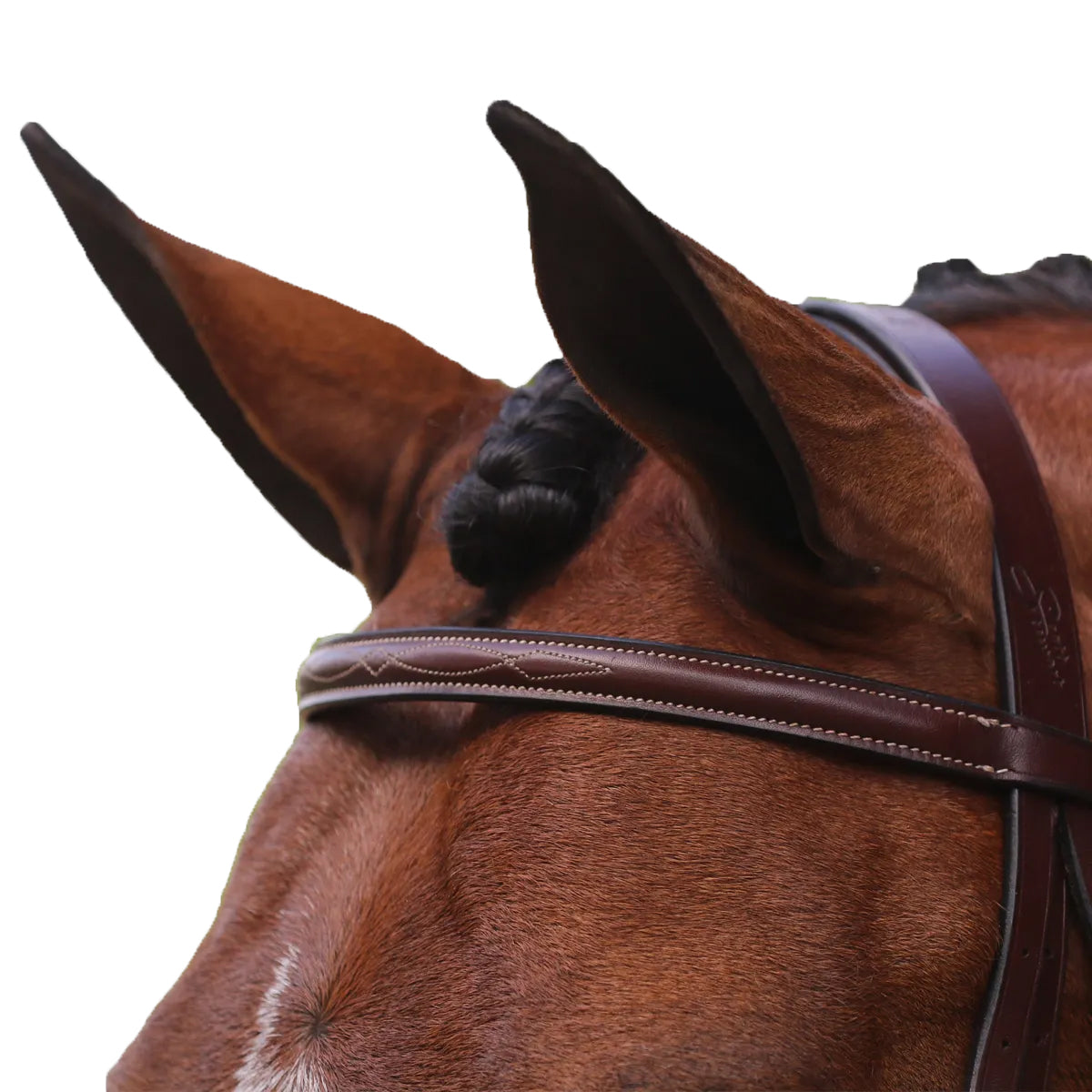 Equiline Scott Stewart Hunter Bridle | Farm House Tack