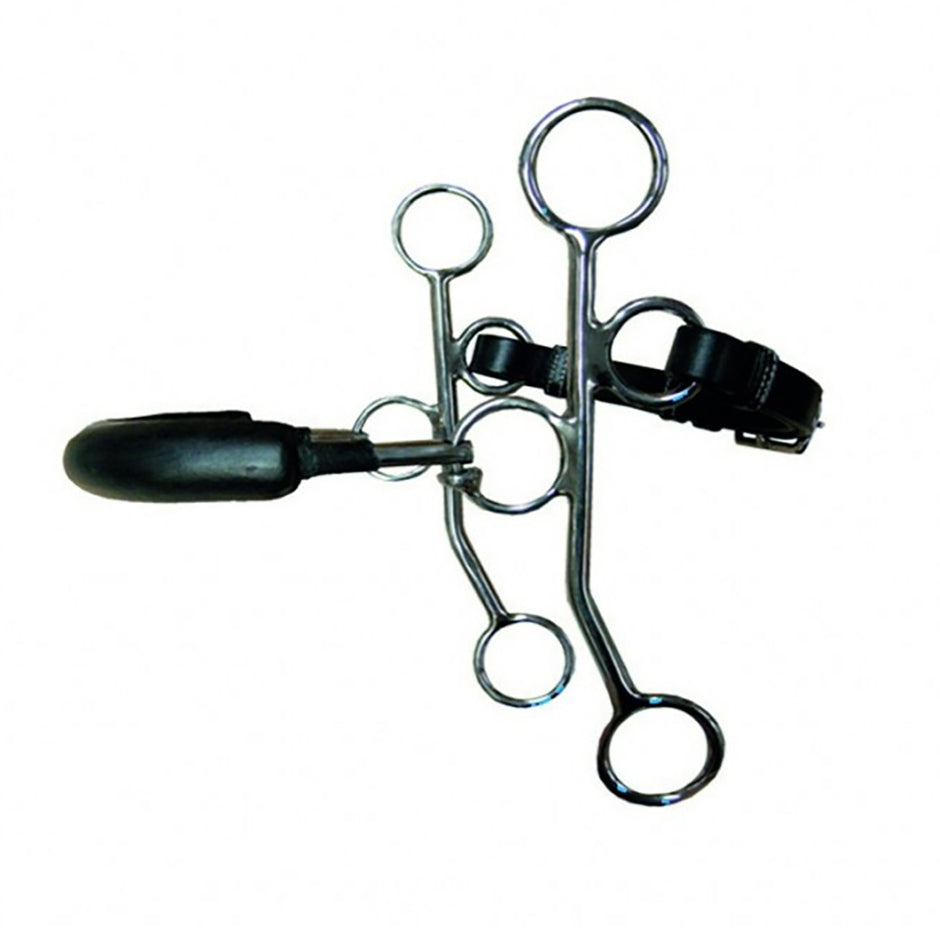Hackamore Bits & Combination Bits | The Farm House – Farm House Tack