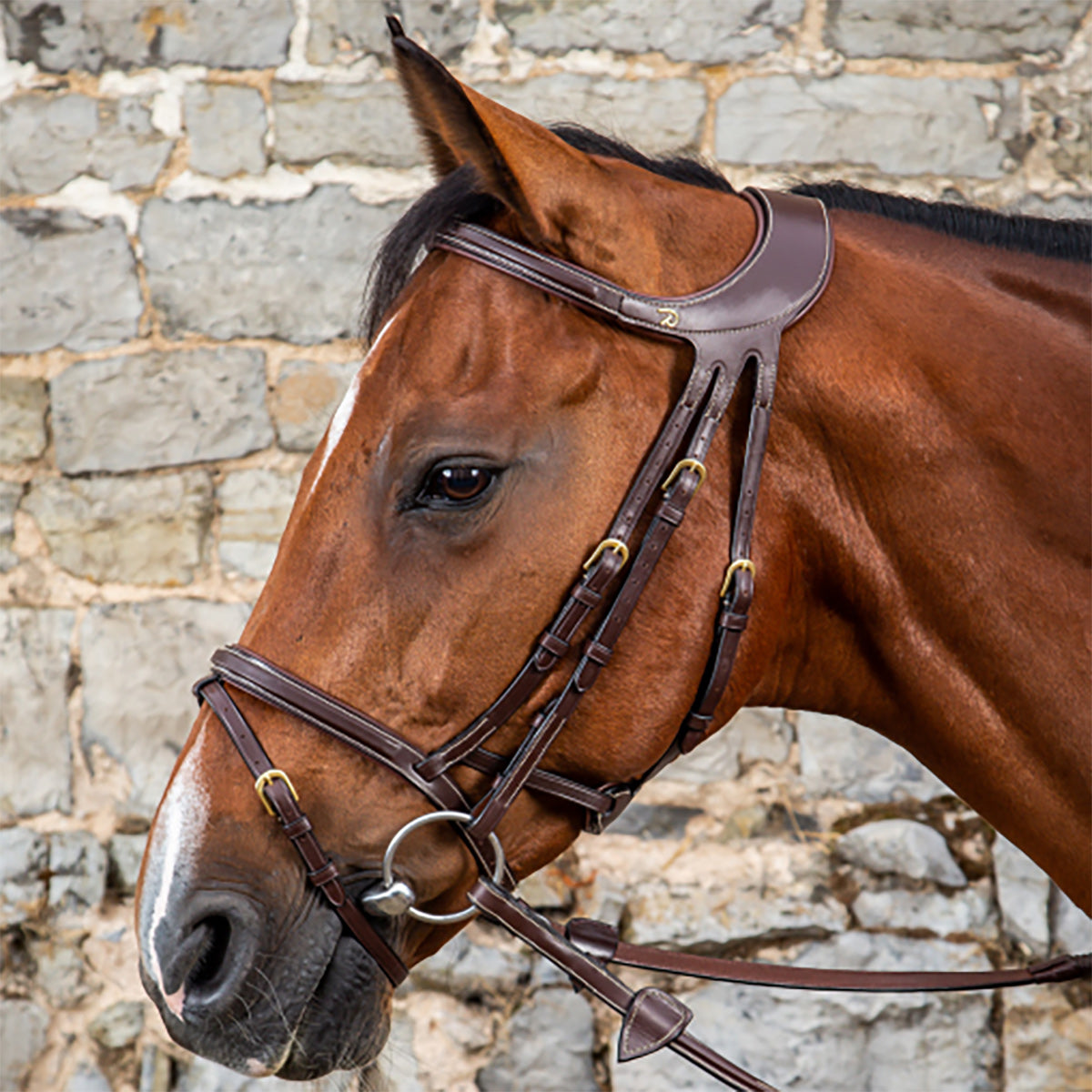 Jumper Bridles - Eventing Bridles | The Farm House – Farm House Tack