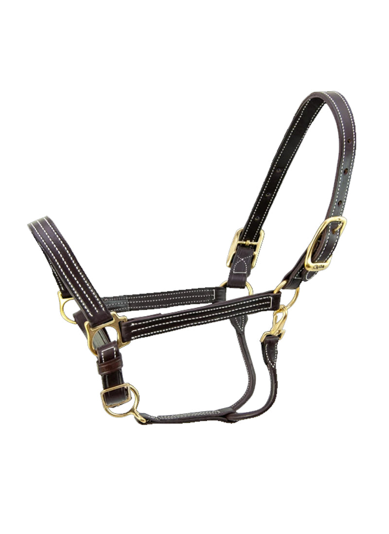 Horse Halters - Nylon, Leather, Padded | The Farm House – Farm House Tack