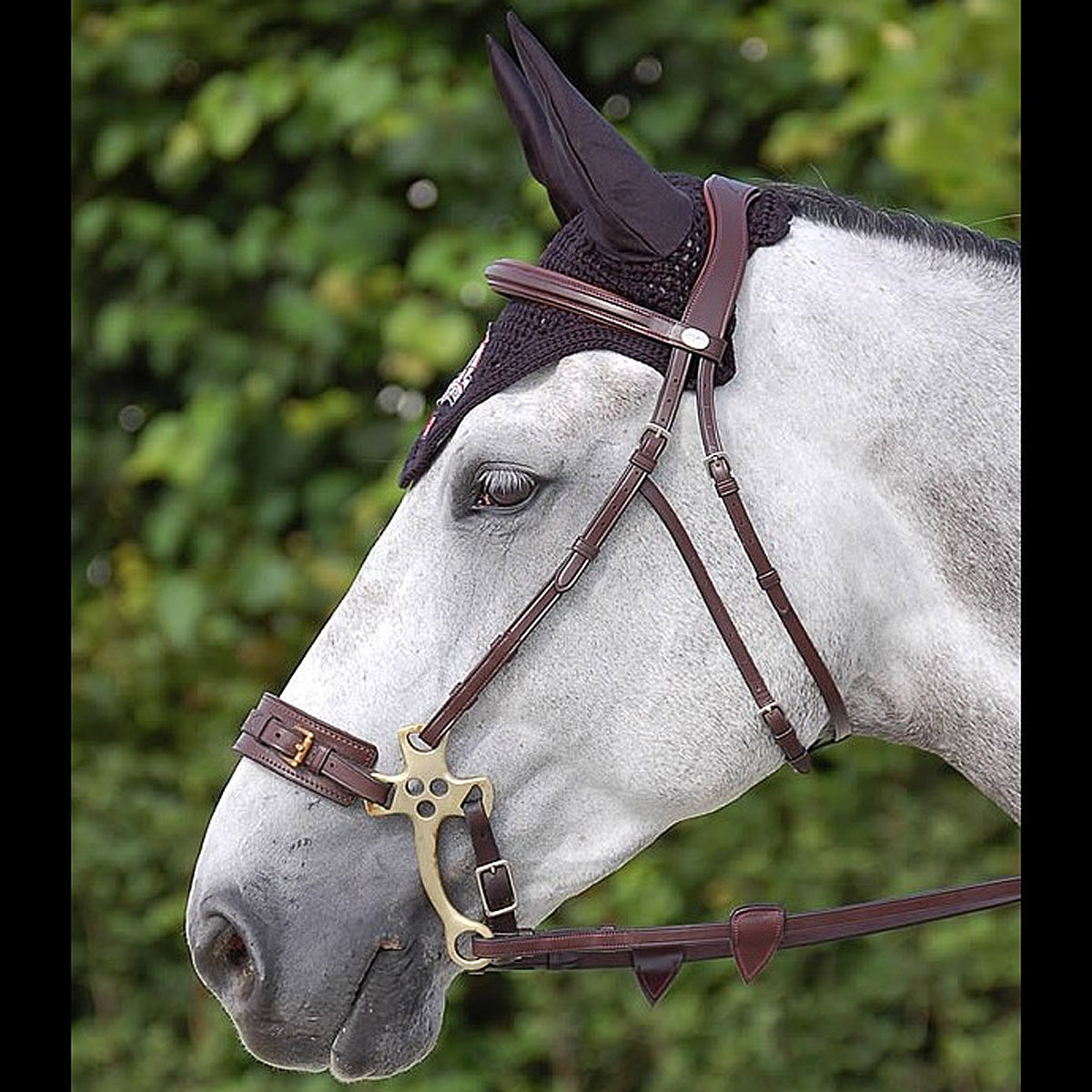 Jumper Bridles - Eventing Bridles | The Farm House