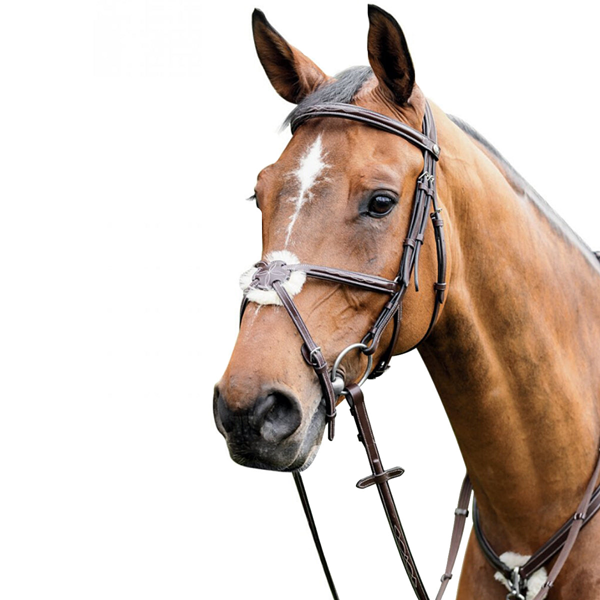 Jumper Bridles - Eventing Bridles | The Farm House