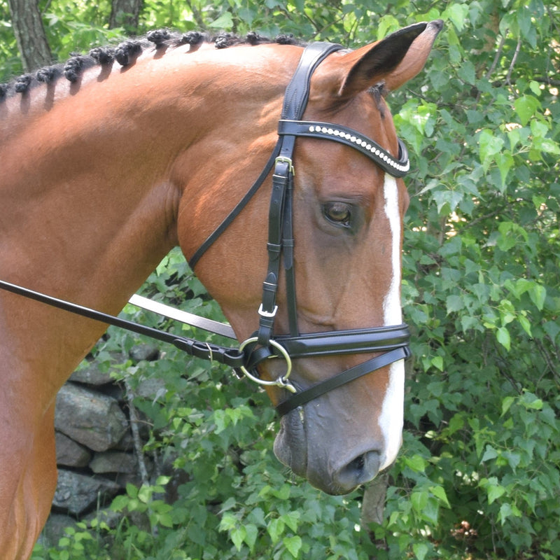 Dressage Bridles | The Farm House