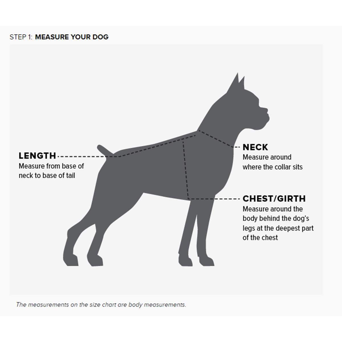 Ariat Team Softshell Dog Jacket | Farm House Tack