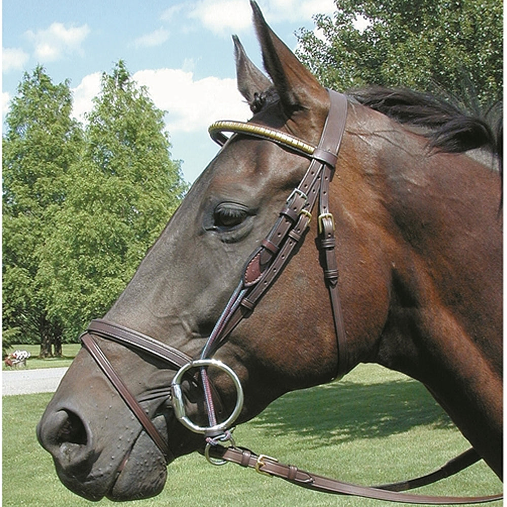English Bridles for Hunter Jumper, Dressage, Eventing | The Farm House