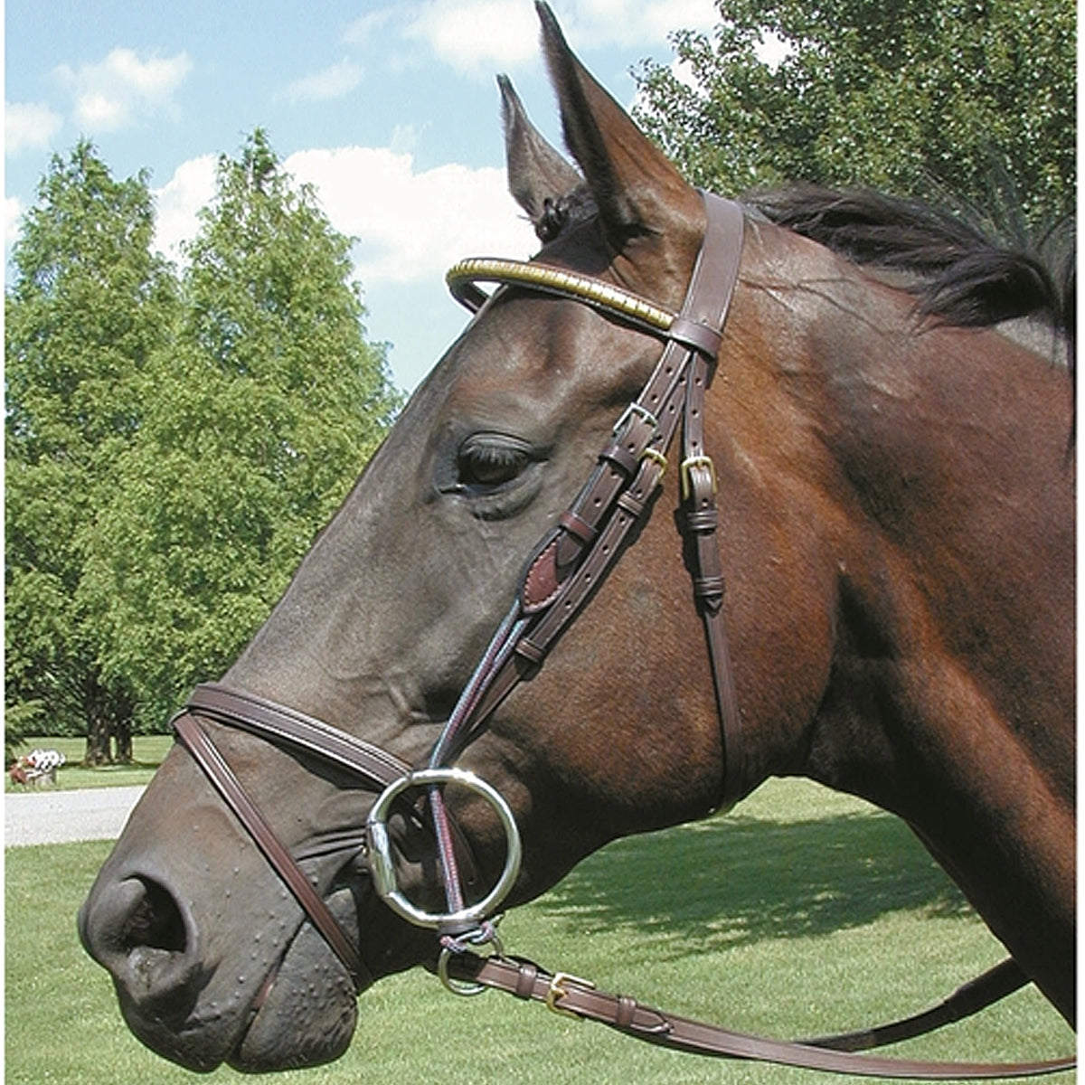 English Bridles for Hunter Jumper, Dressage, Eventing | The Farm House