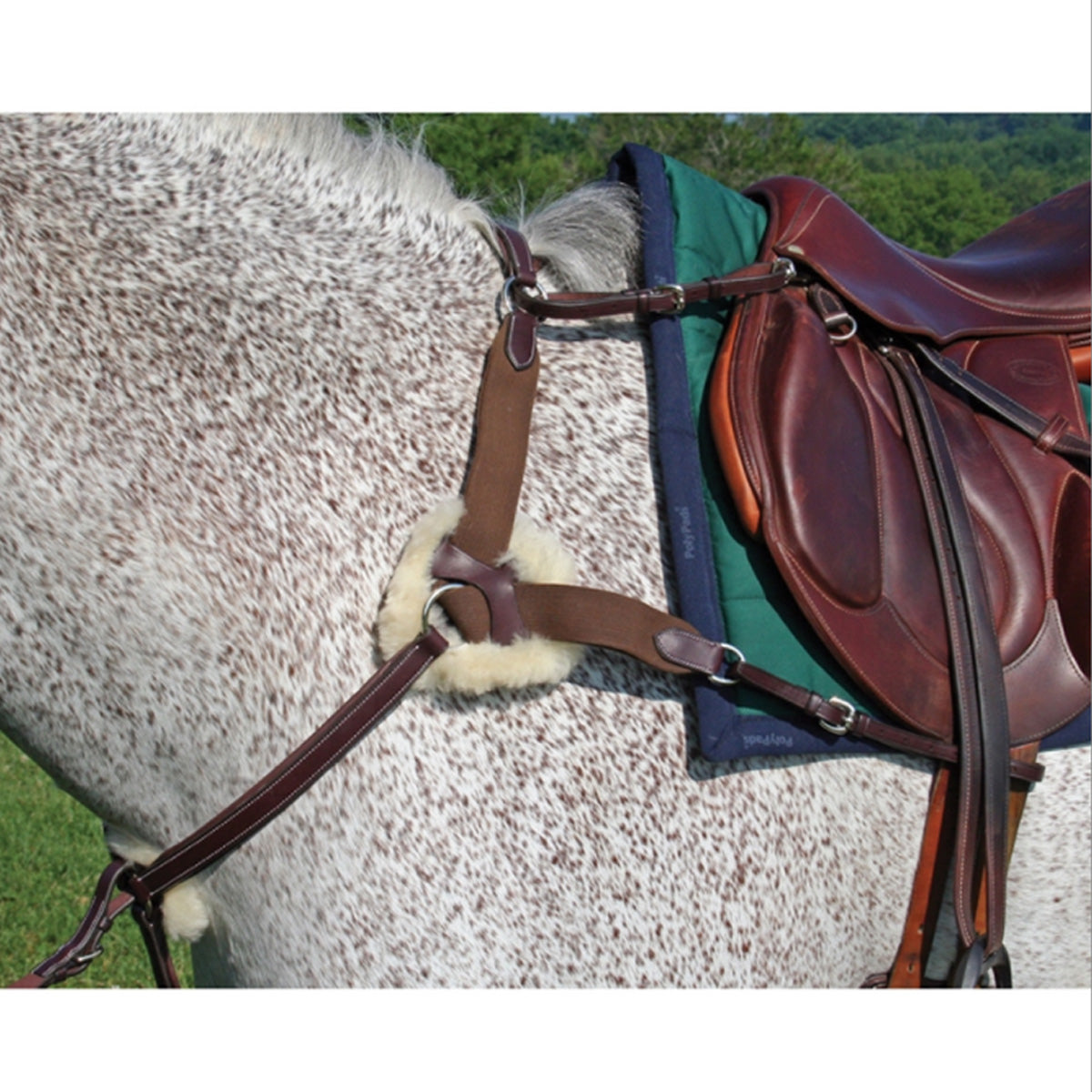 Martingale Attachments | Breastplate Attachments | The Farm House Page 2